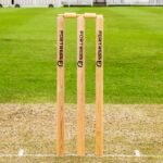 Stump I Stumps In Cricket I Cricket Stumps I Cricketfile